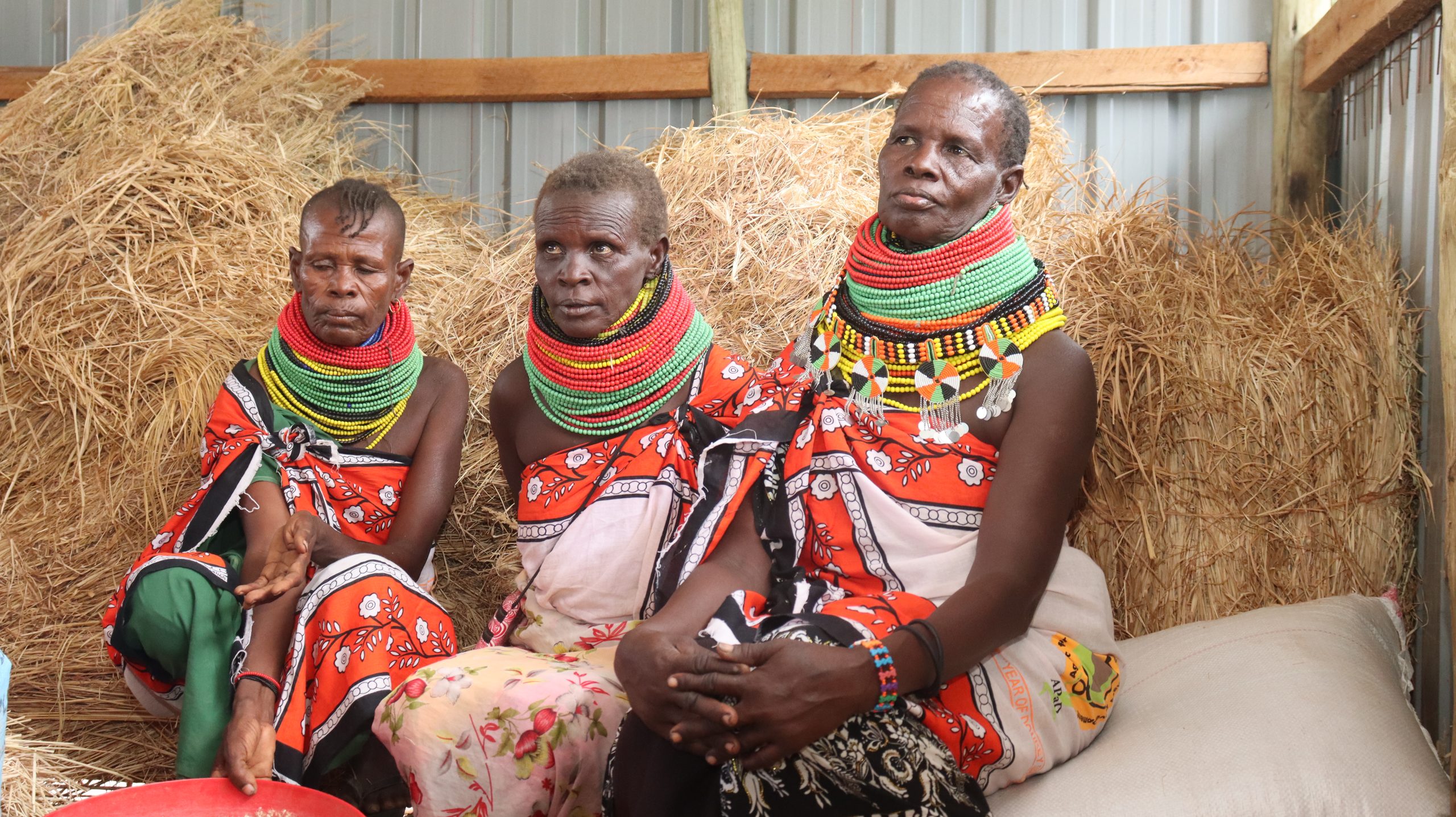 Breaking Barriers: Women in North Pokot Lead the Fight Against Harmful ...