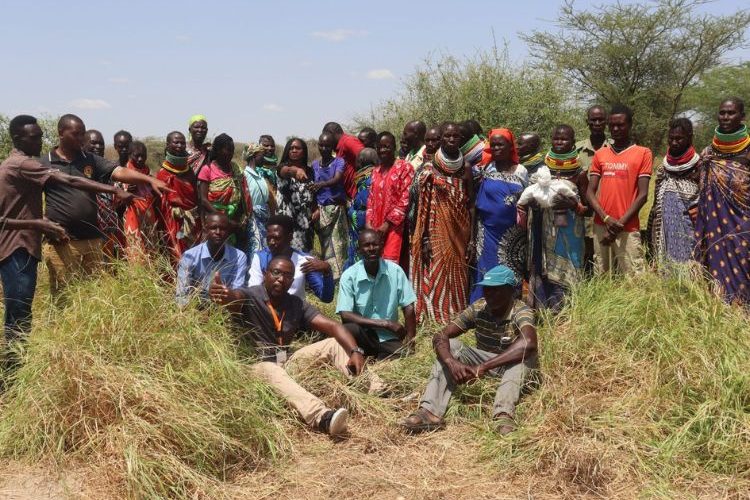 Food Security ,Sustainable Livelihoods Development and Animal Welfare ...